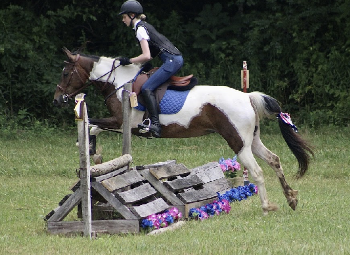 Our Horses :: RubyFire Equestrian Center