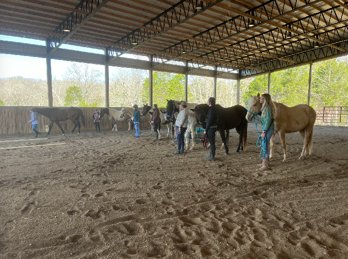 Lessons :: RubyFire Equestrian Center